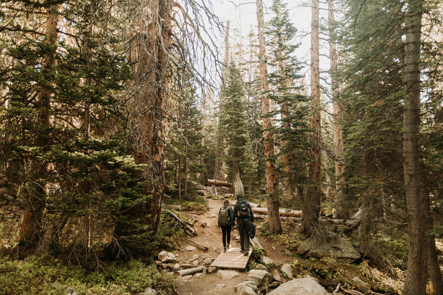 A Dreamy Sunrise Lake Isabelle Elopement - Colorado Elopement ...